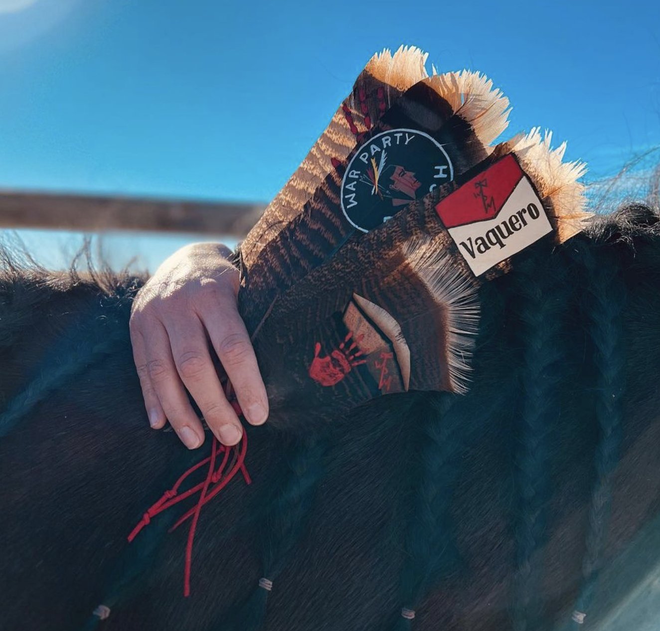 HAND PAINTED HAT FEATHERS – War Party Movement